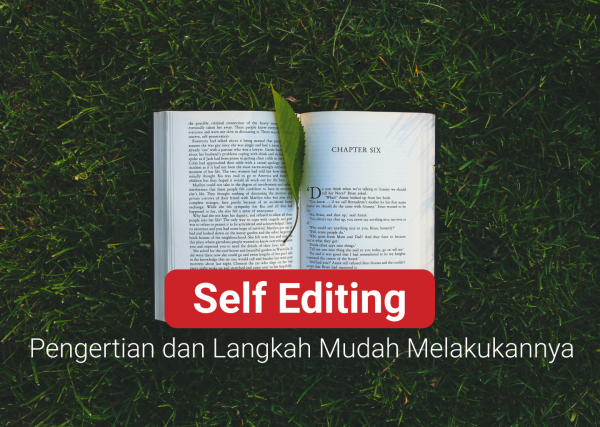 Self Editing: Pengertian dan Langkah Mudah Melakukannya - Penerbit ...